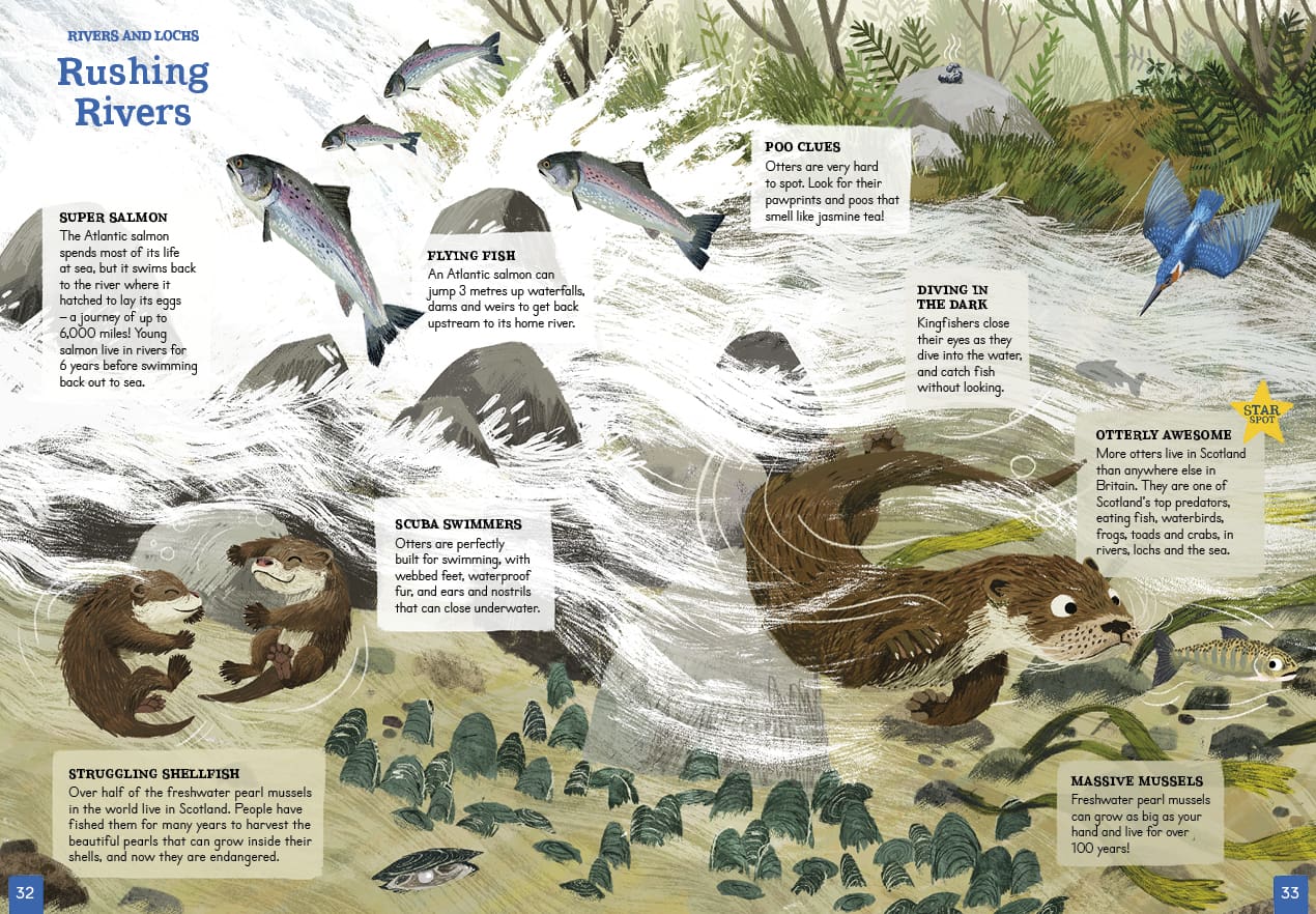 The Amazing Animal Atlas of Scotland - Books from Scotland