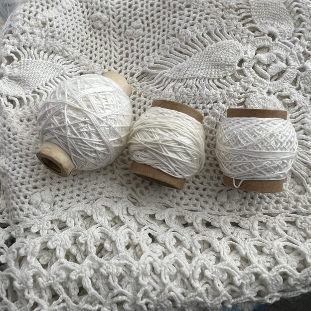 Threads Across Borders: Introducing Shasta Ali - Books from Scotland