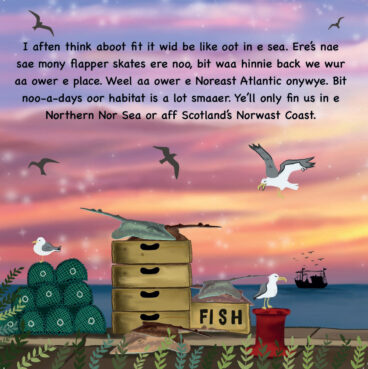 Cedric e Flapper Skate - Books from Scotland