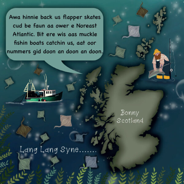 Cedric e Flapper Skate - Books from Scotland