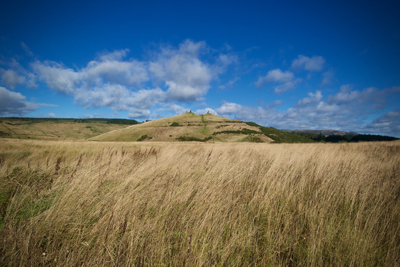 Wild History: Journeys into Lost Scotland - Books from Scotland