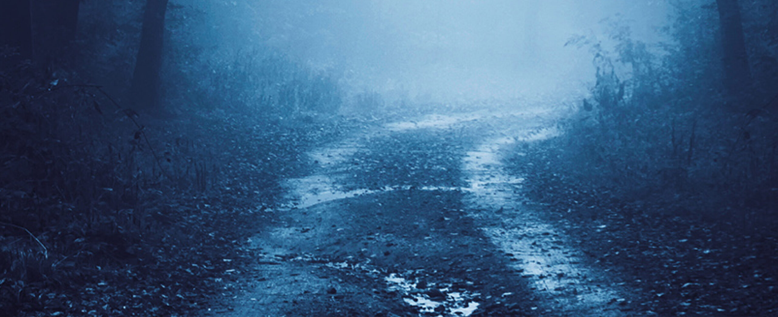 Gallow Falls by Alex Nye - Books from Scotland