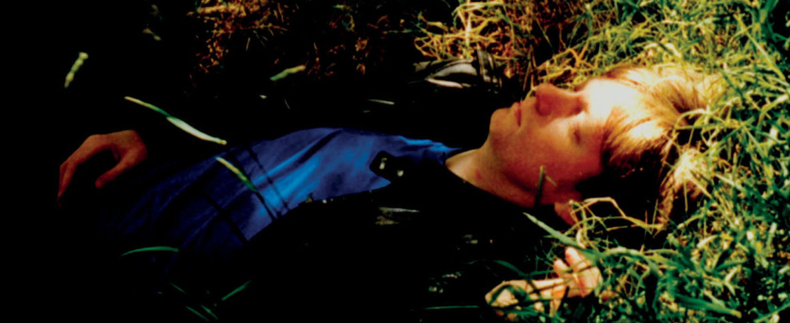 David Robinson Reviews: Michel Faber by Rodge Glass - Books from Scotland