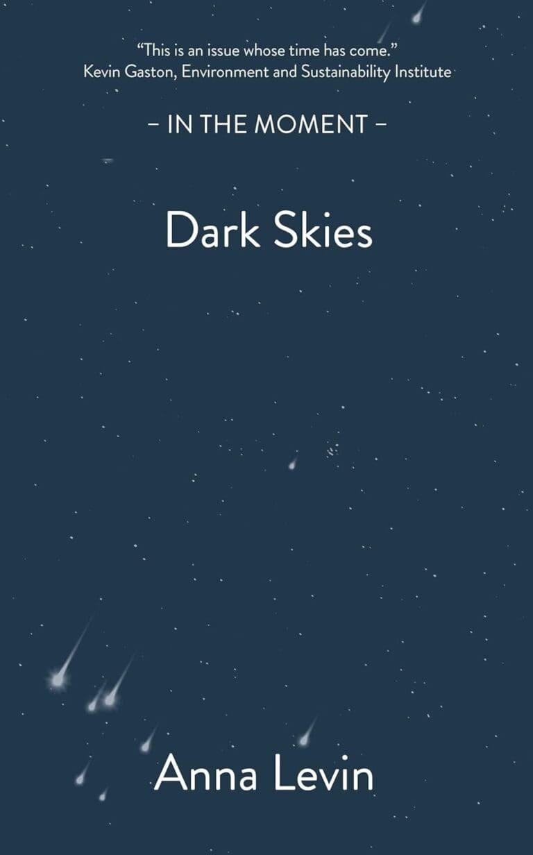 Dark Skies by Anna Levin - Books from Scotland