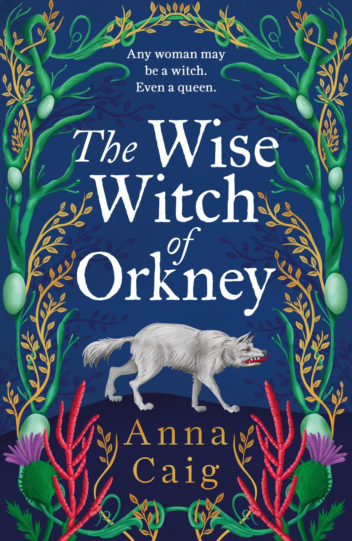 The Wise Witch of Orkney by Anna Caig - Books from Scotland
